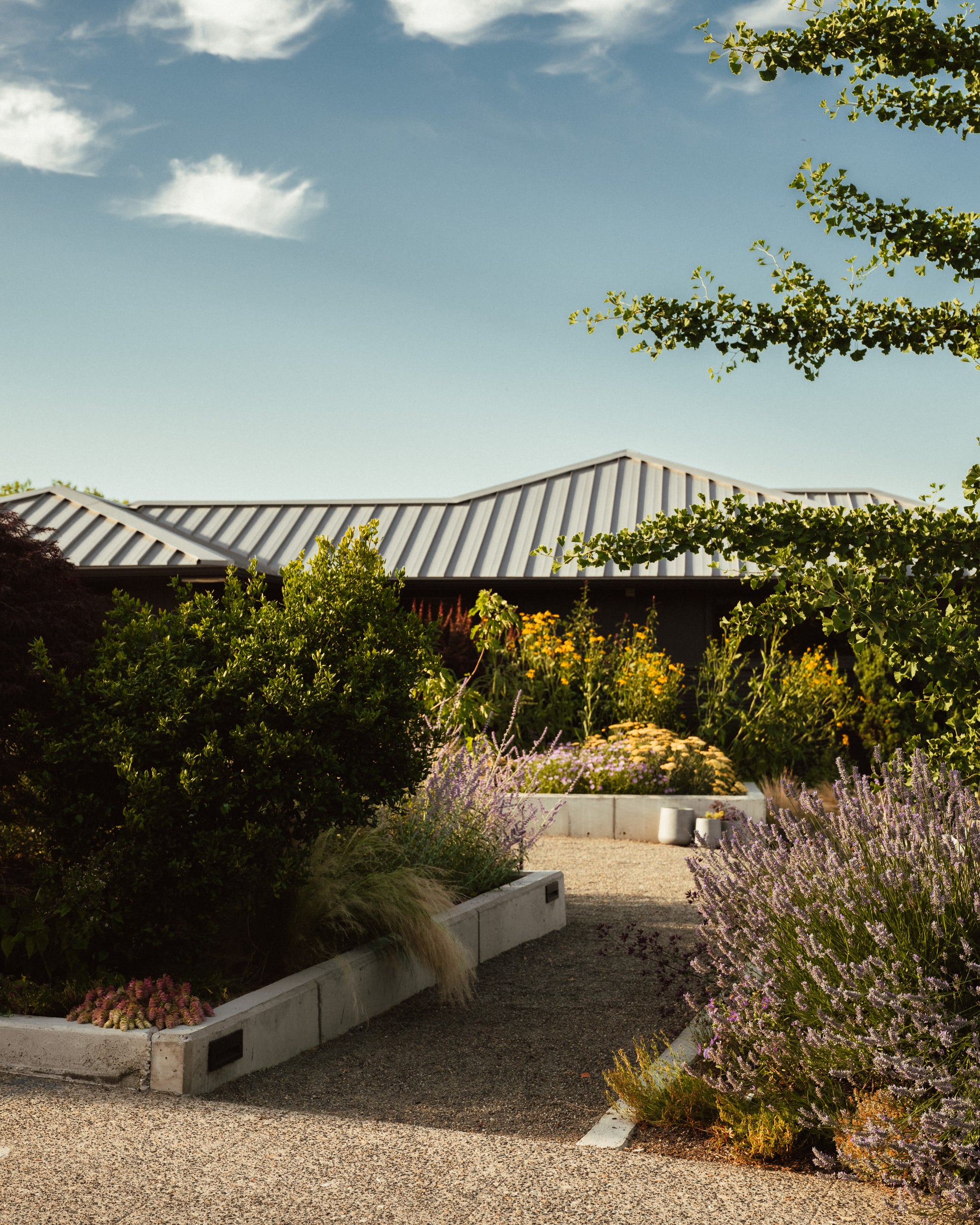 A Seattle Shop – Glasswing