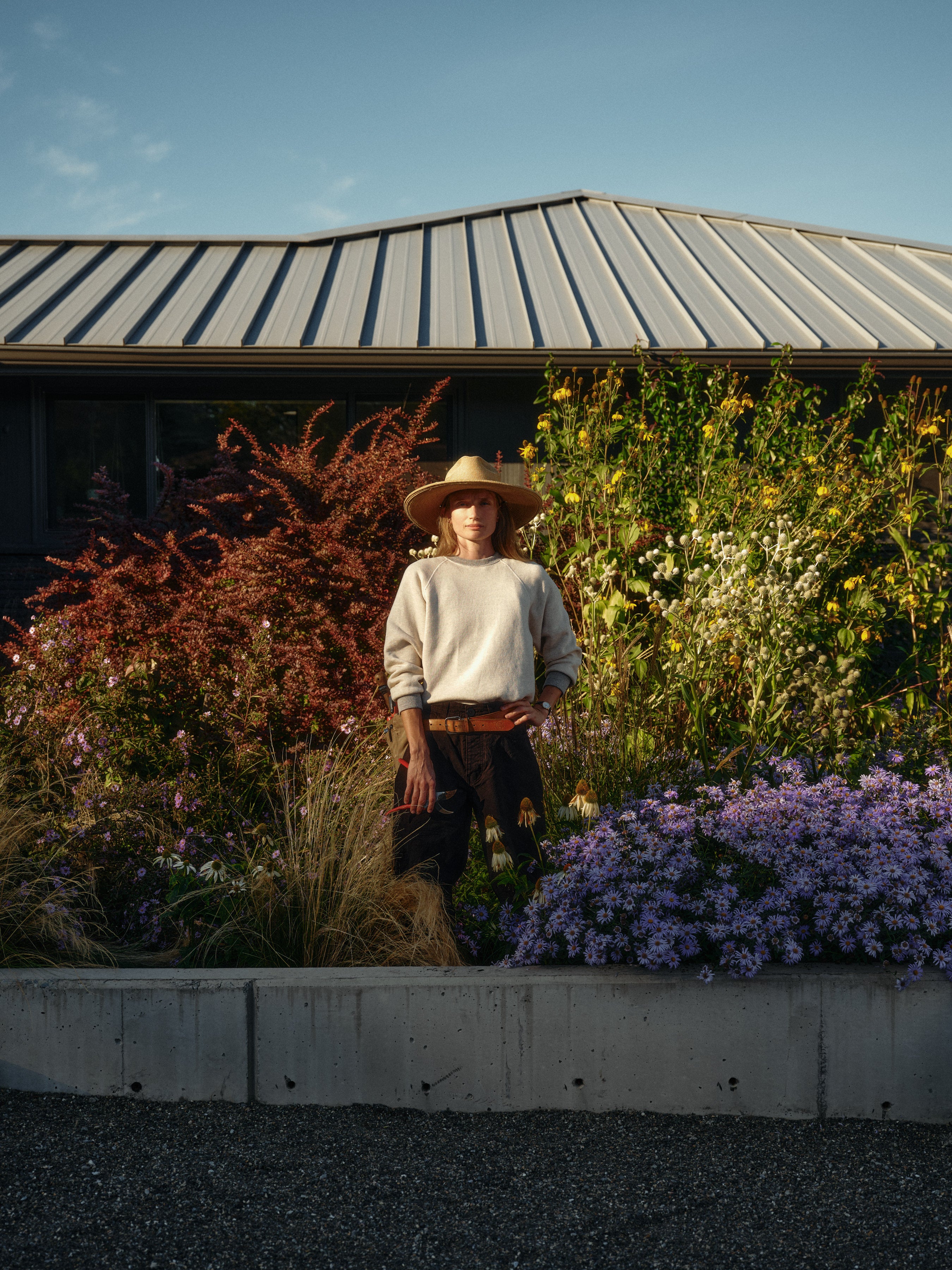 A Seattle Shop – Glasswing