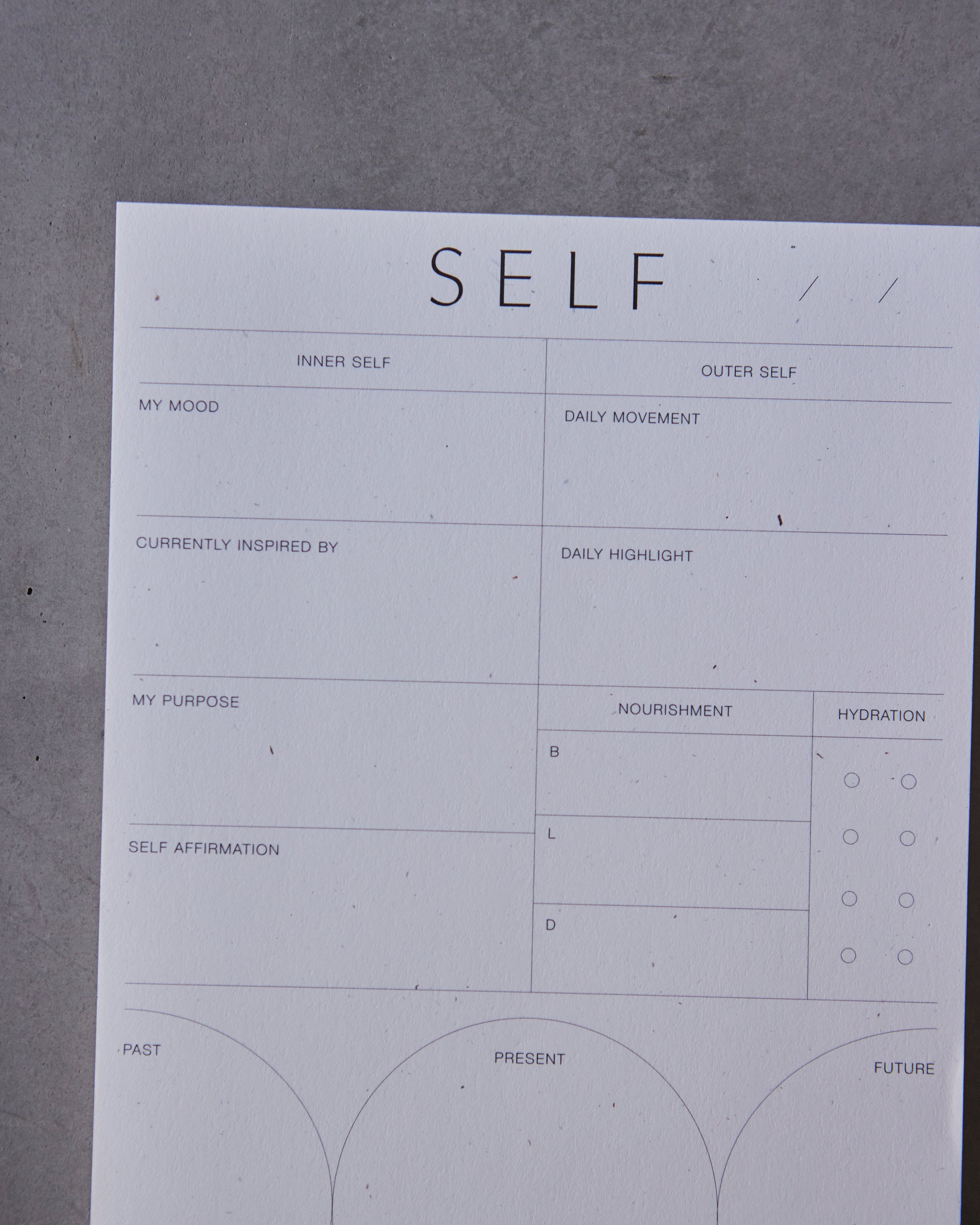 Self Reflections Pad – Glasswing