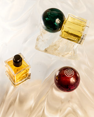 A Seattle Shop – Glasswing