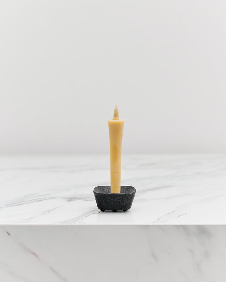 The Scent Collection – Glasswing