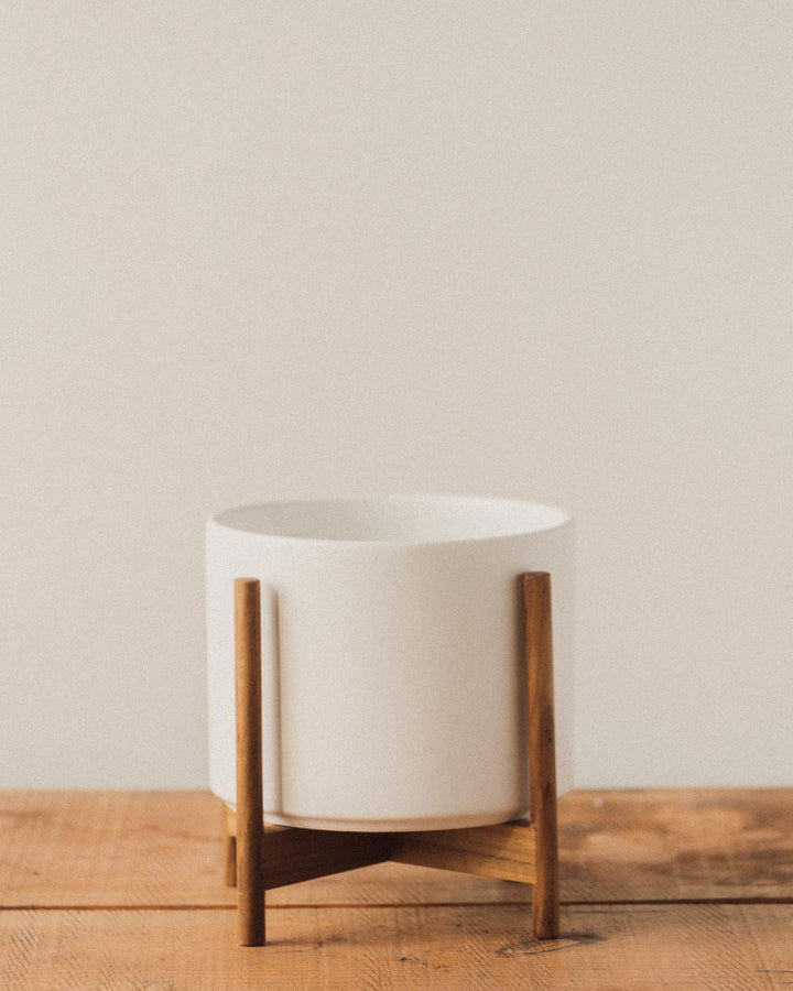 The Eight Planter – Glasswing