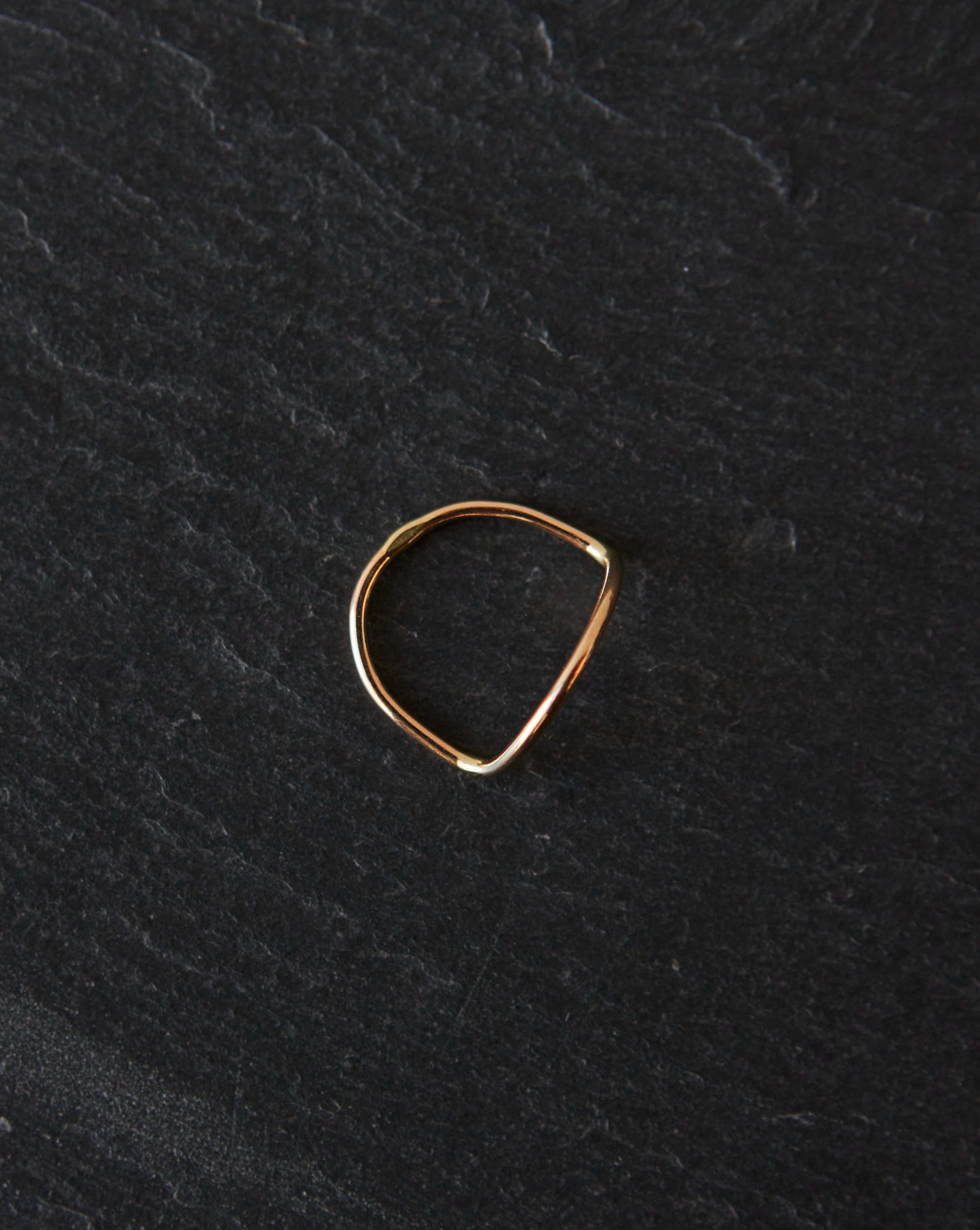 Another Feather Arc Ring | Glasswing Shop