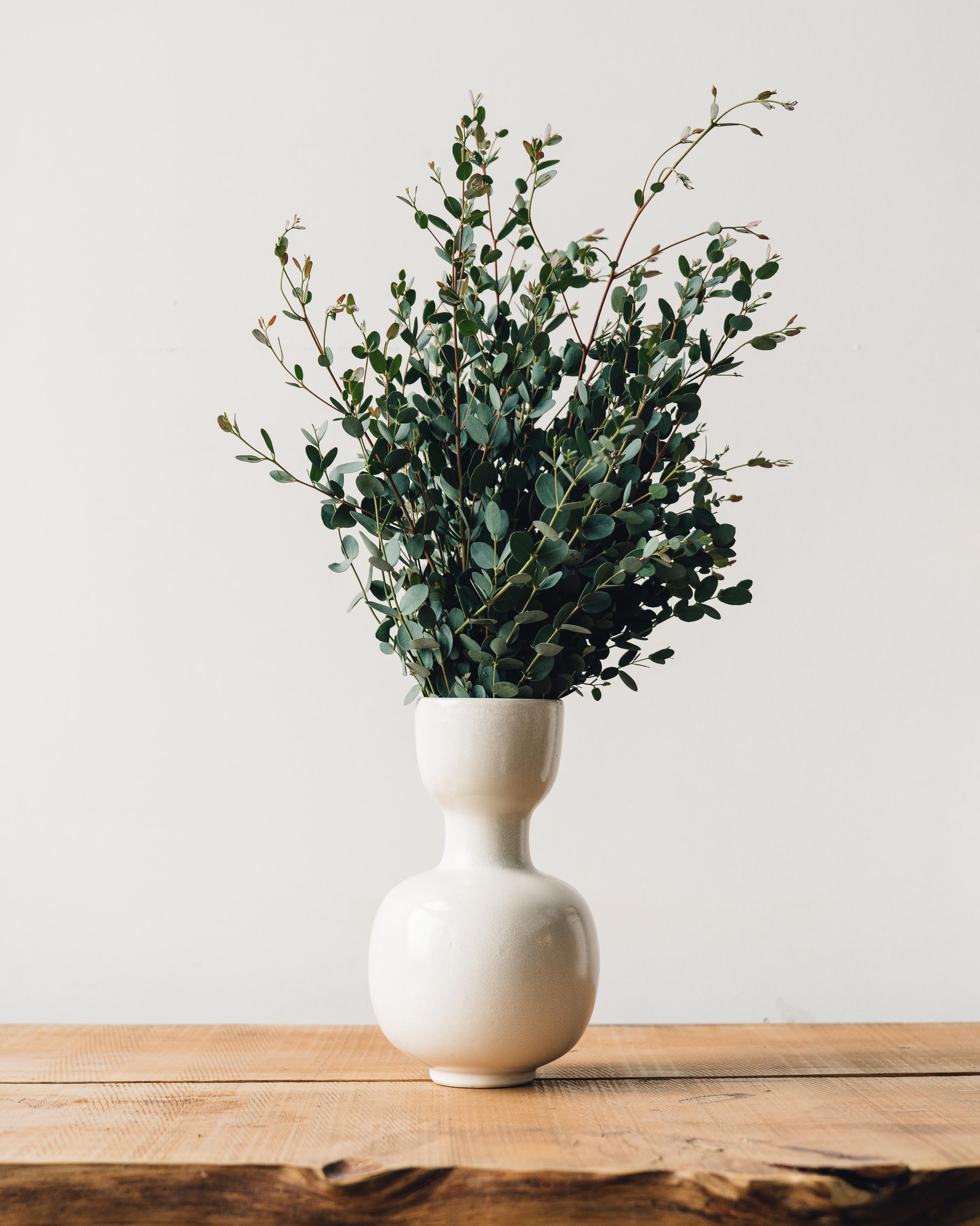 Common Vase, Rounded – Glasswing