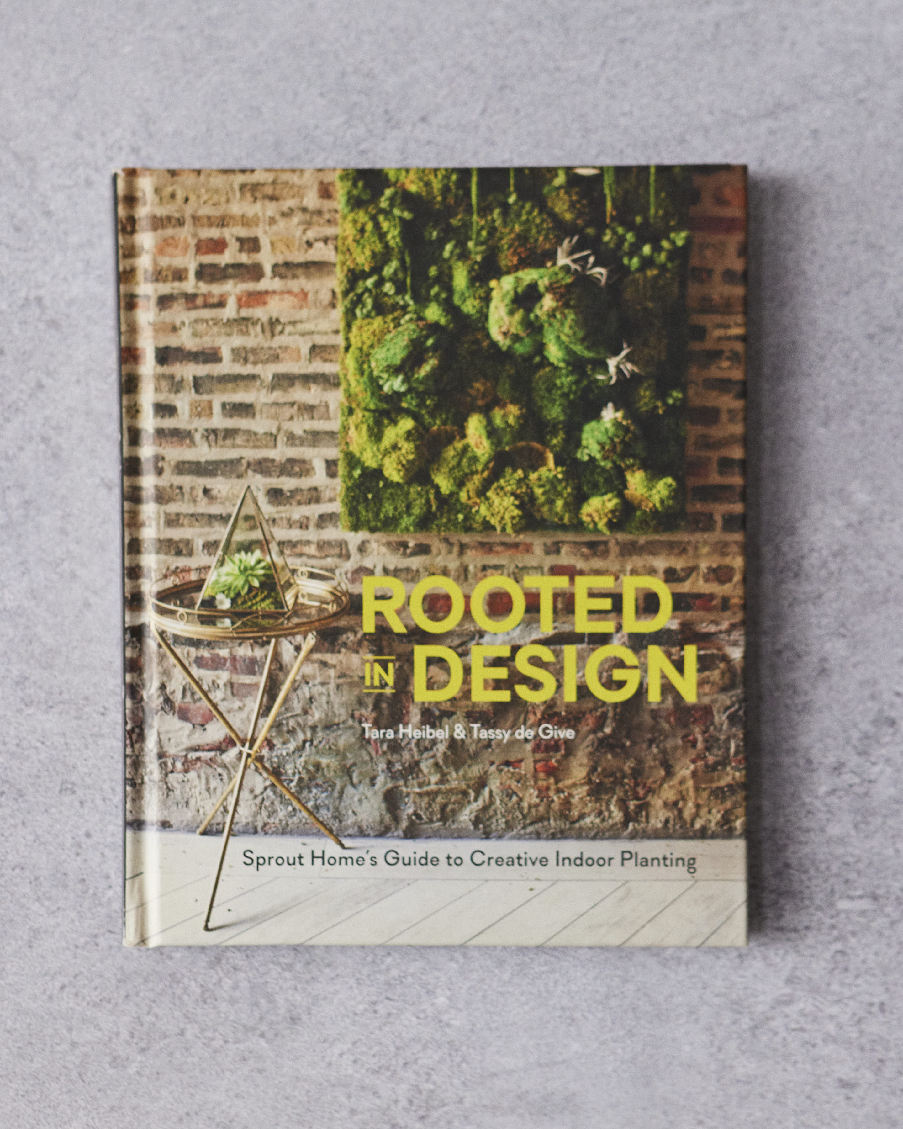 Rooted in Design | Glasswing Shop